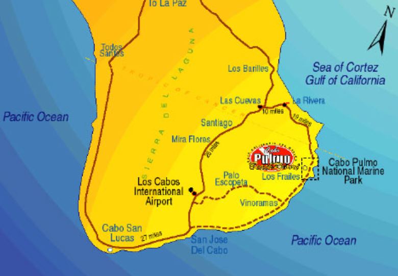 Traveler at Sea: Good Times at Cabo Pulmo Eco Palapa