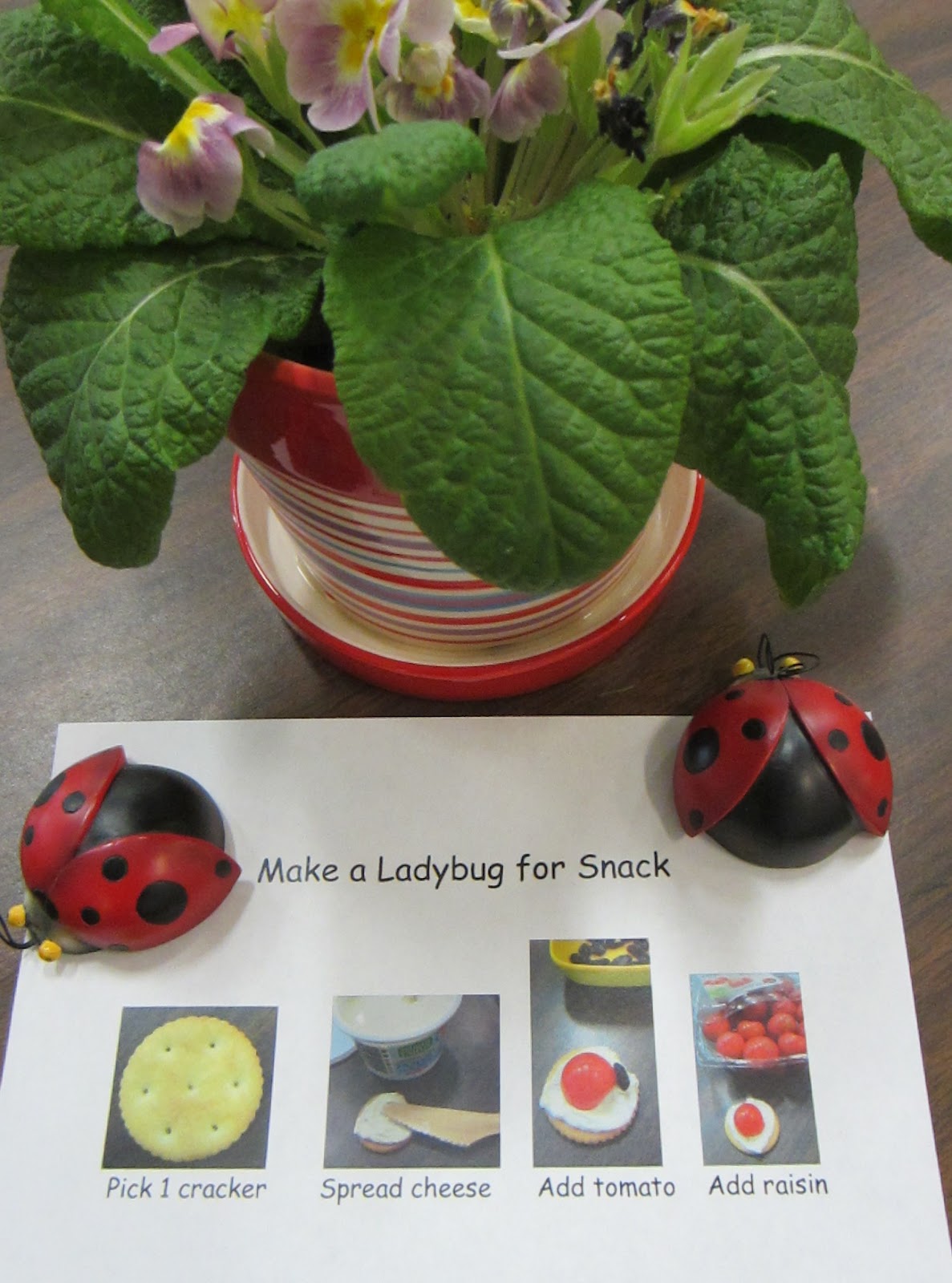 StrongStart: Ladybug Snack