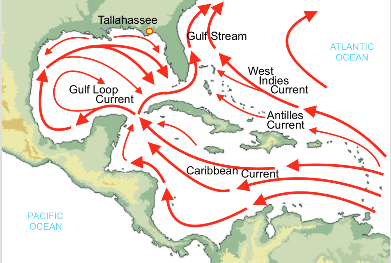 NephiCode: A New Landing Site for Lehi – Part II