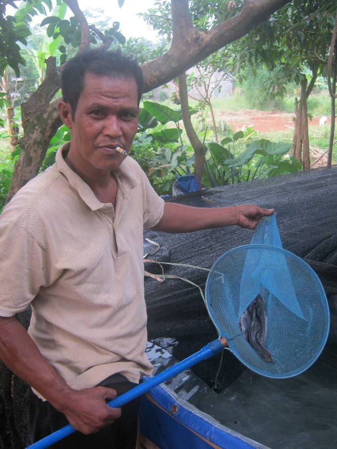 pusatleledepok: Pusat Peternakan Ikan Lele "ENTONG CIHERANG"