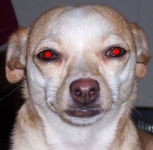 ATRUSA PRODUCCIONES AUDIOVISUALES: ¿Cómo evitar los ojos rojos al hacer ...