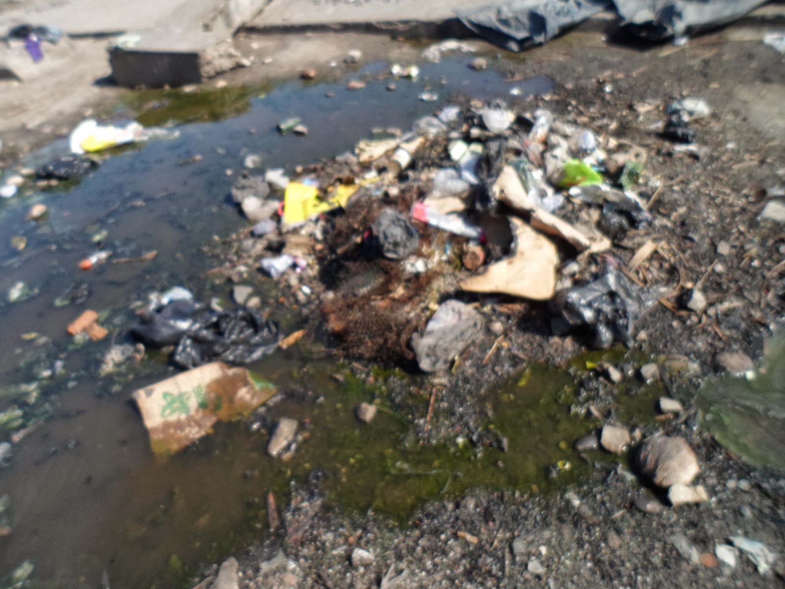 SANITATION ALONG THE BEACH: EFFECTS OF POOR SANITATION ALONG THE BEACH