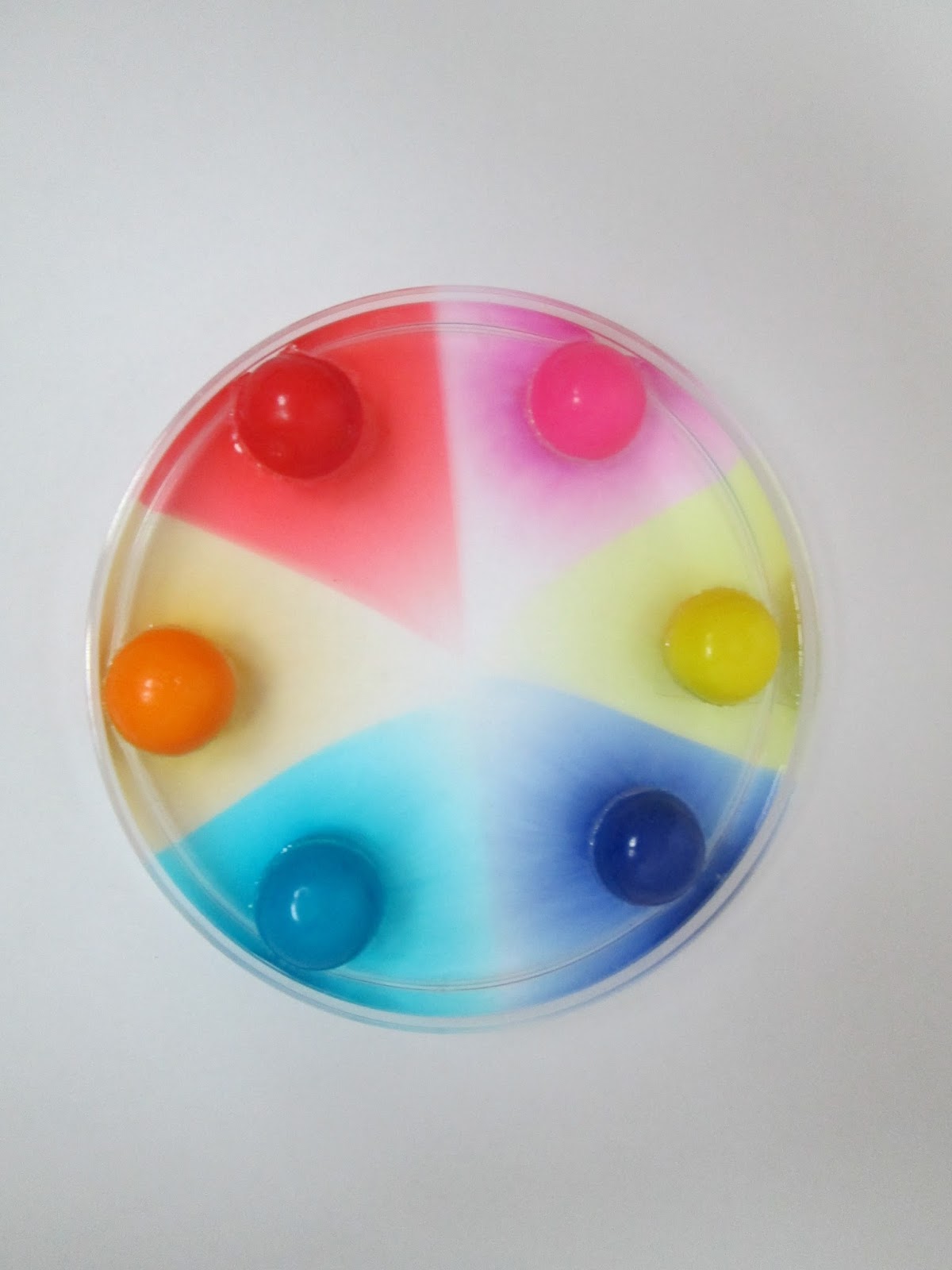 Colorful Candy Diffusion Science Activity