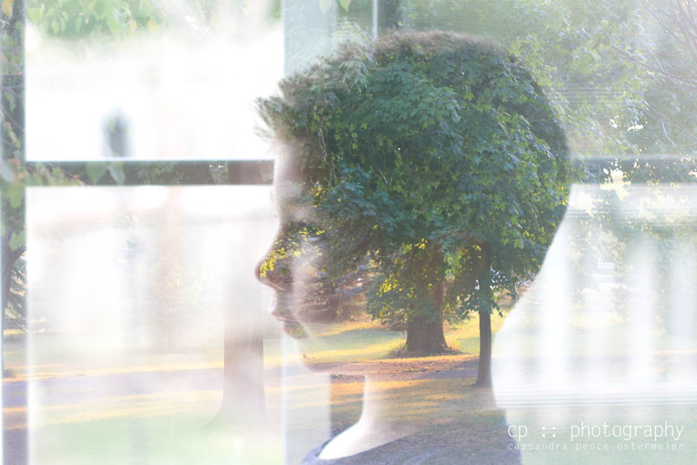 sassafras: digital double exposure :: photography
