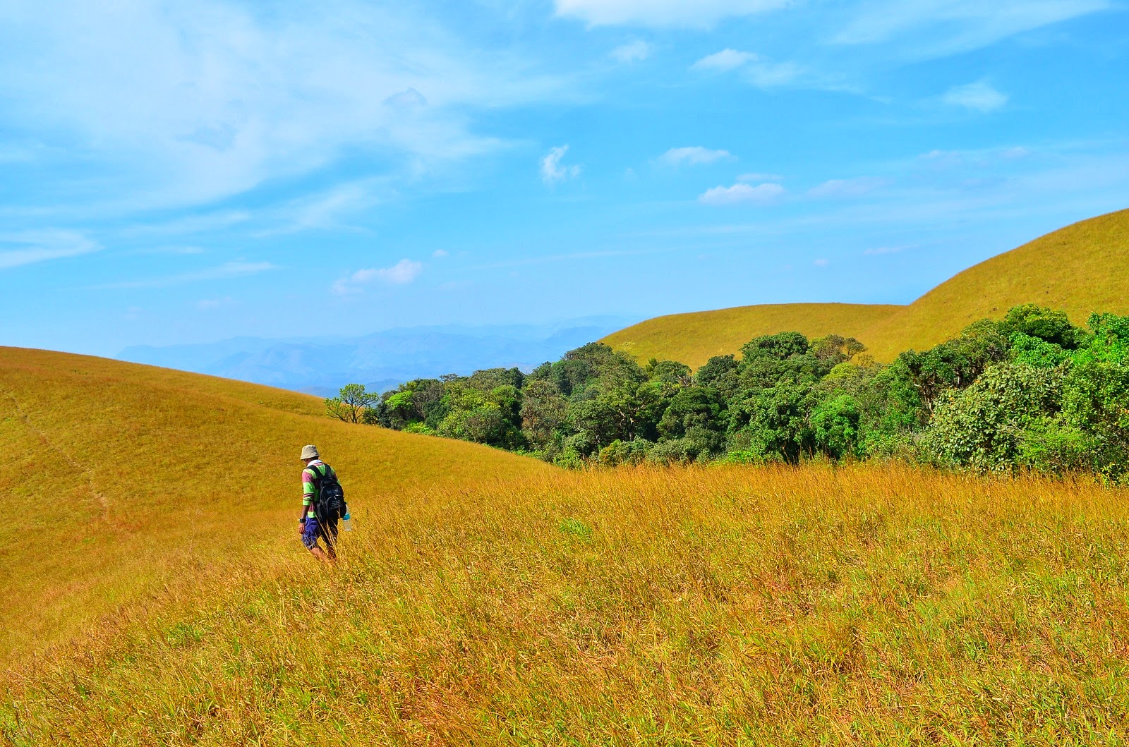 Sharath Hassan A Travelling Photographer: JENUKALLU GUDDA (JENUKAL ...