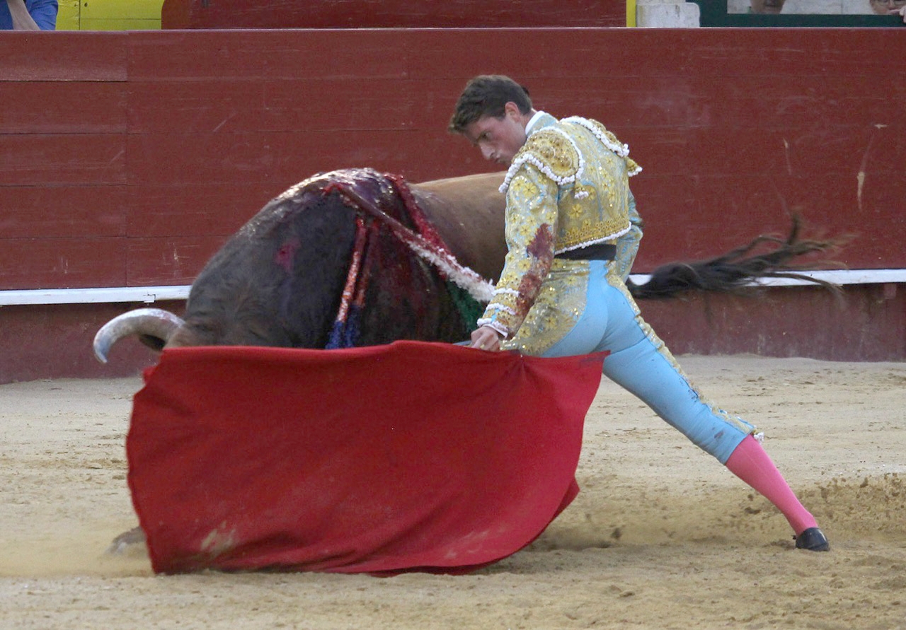 Gelán Noticias: TOROS.- El novillero sevillano Alfonso Cadaval deja ...