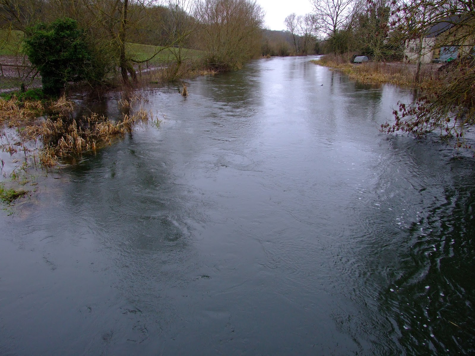 Canoeing and Kayaking on The River Kennet: New year high levels for the ...