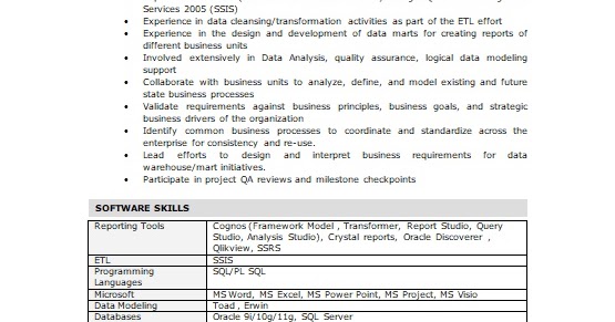 MIS Report Sample Resume Format in Word Free Download