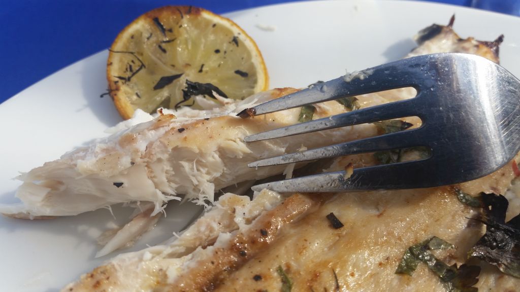 Towerwater Aan De Breede: Snoek en soet patats in die boord