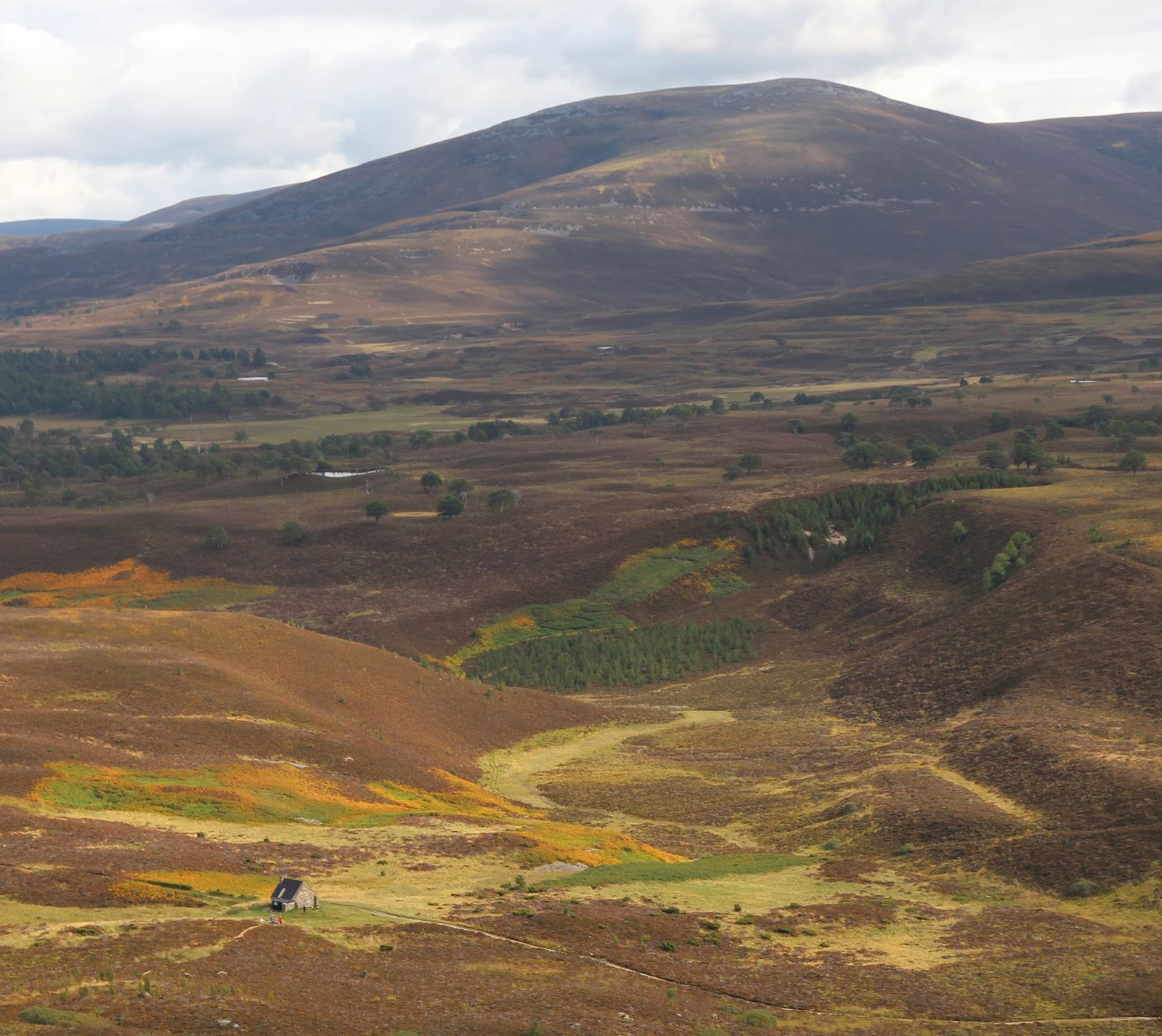 Neil's Hillwalking Exploits: Meall a'Bhuachaille and Ryvoan Bothy