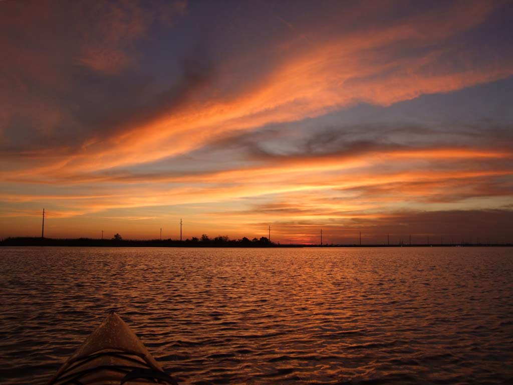 Kayaking the Mobile-Tensaw River Delta: 11/14/2009 - 5 Rivers