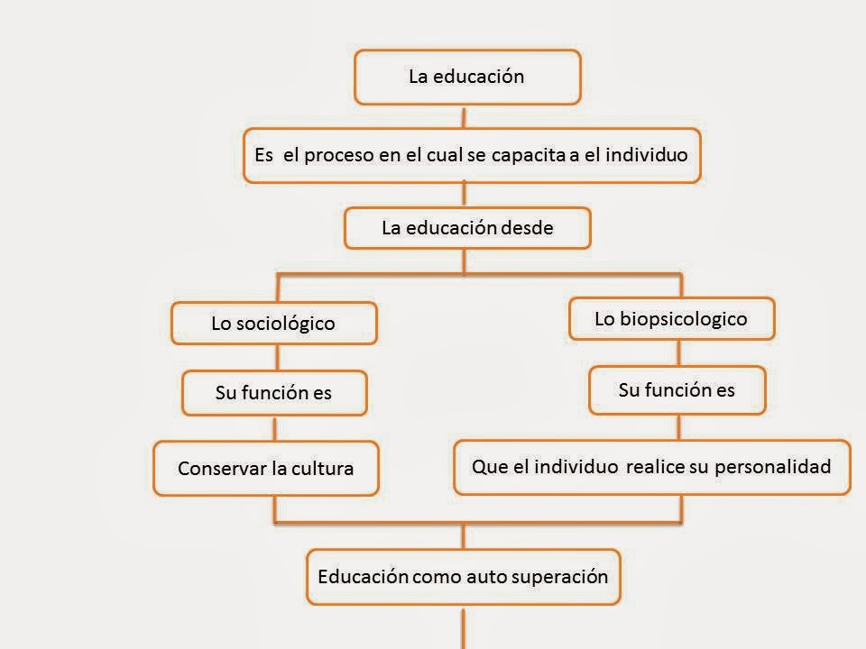trabajos de educación y pedagogia: mapa conceptual de educación