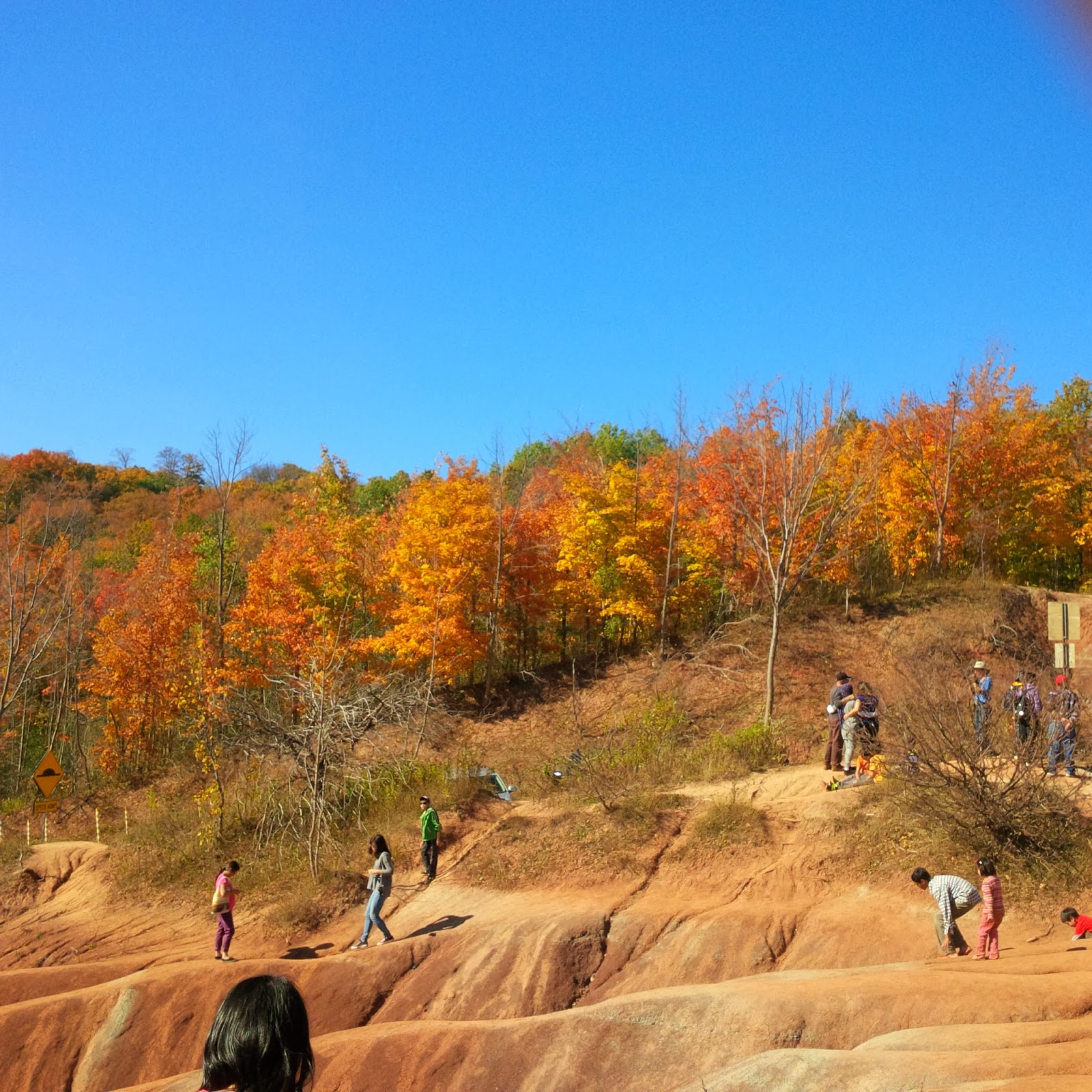 Oblivious Drifter: Fall trip 2013 - Forks of the Credit, Caledon