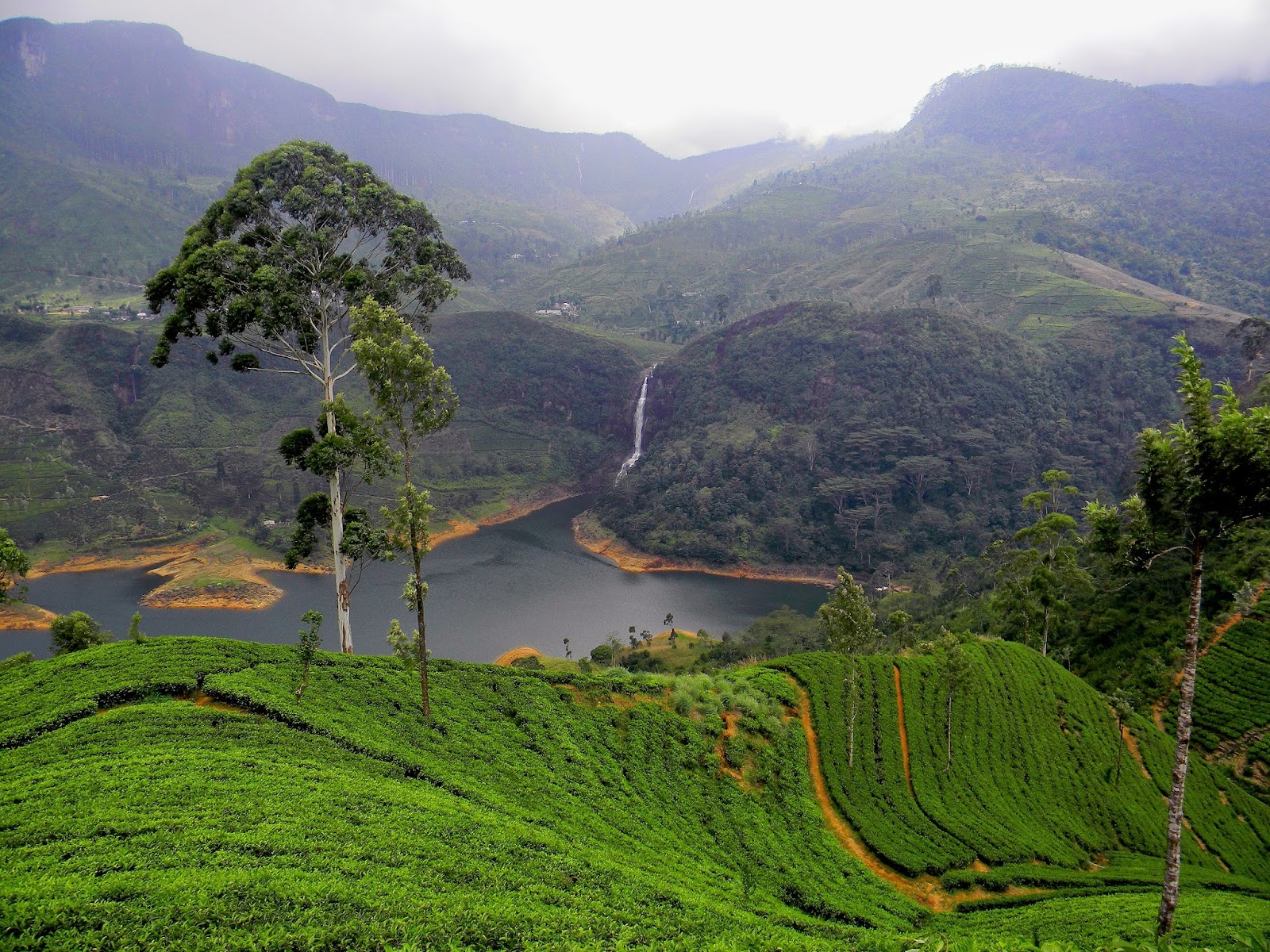 Safari Sri Lanka: Gartmore Waterfall/ Sri Pada ella - Sri Lanka