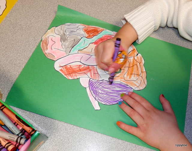 Tippytoe Crafts: Brain Puzzles