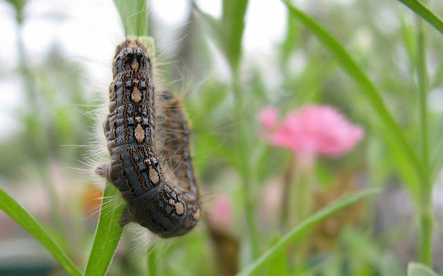 Posts from 2018 | The Ark In Space