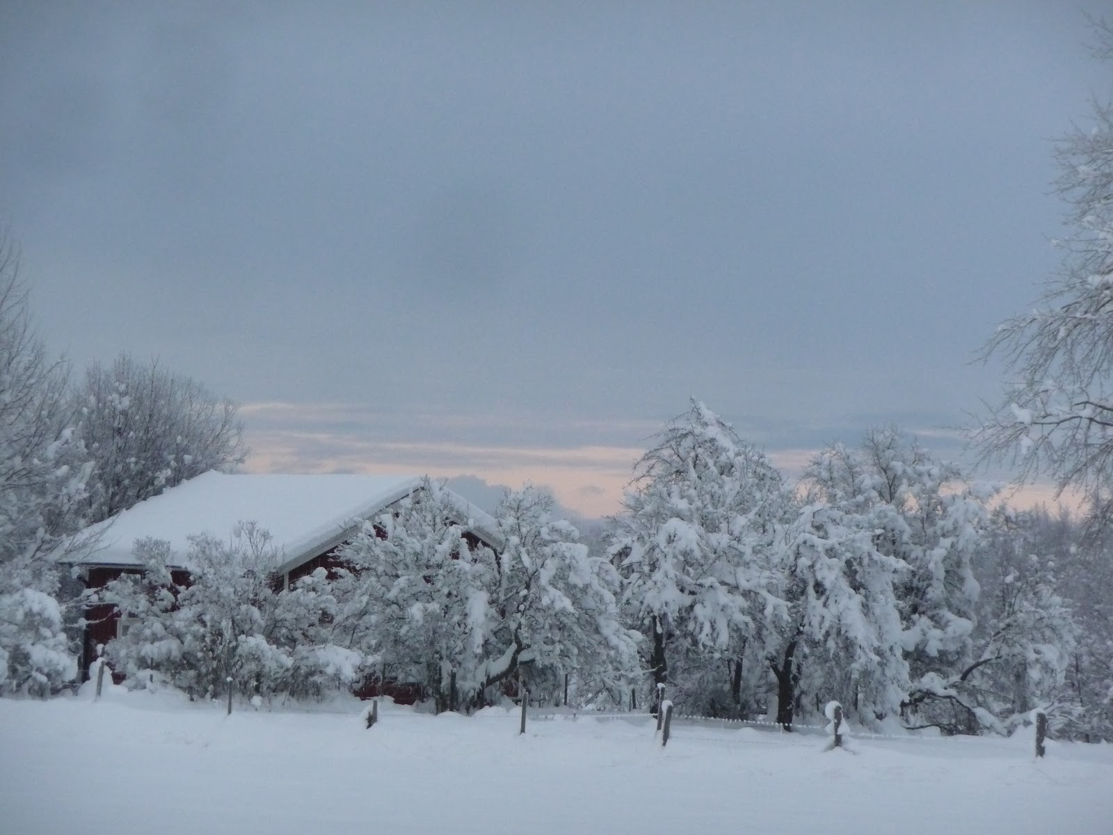 Niras blogg: Fin fina vinterbilder!