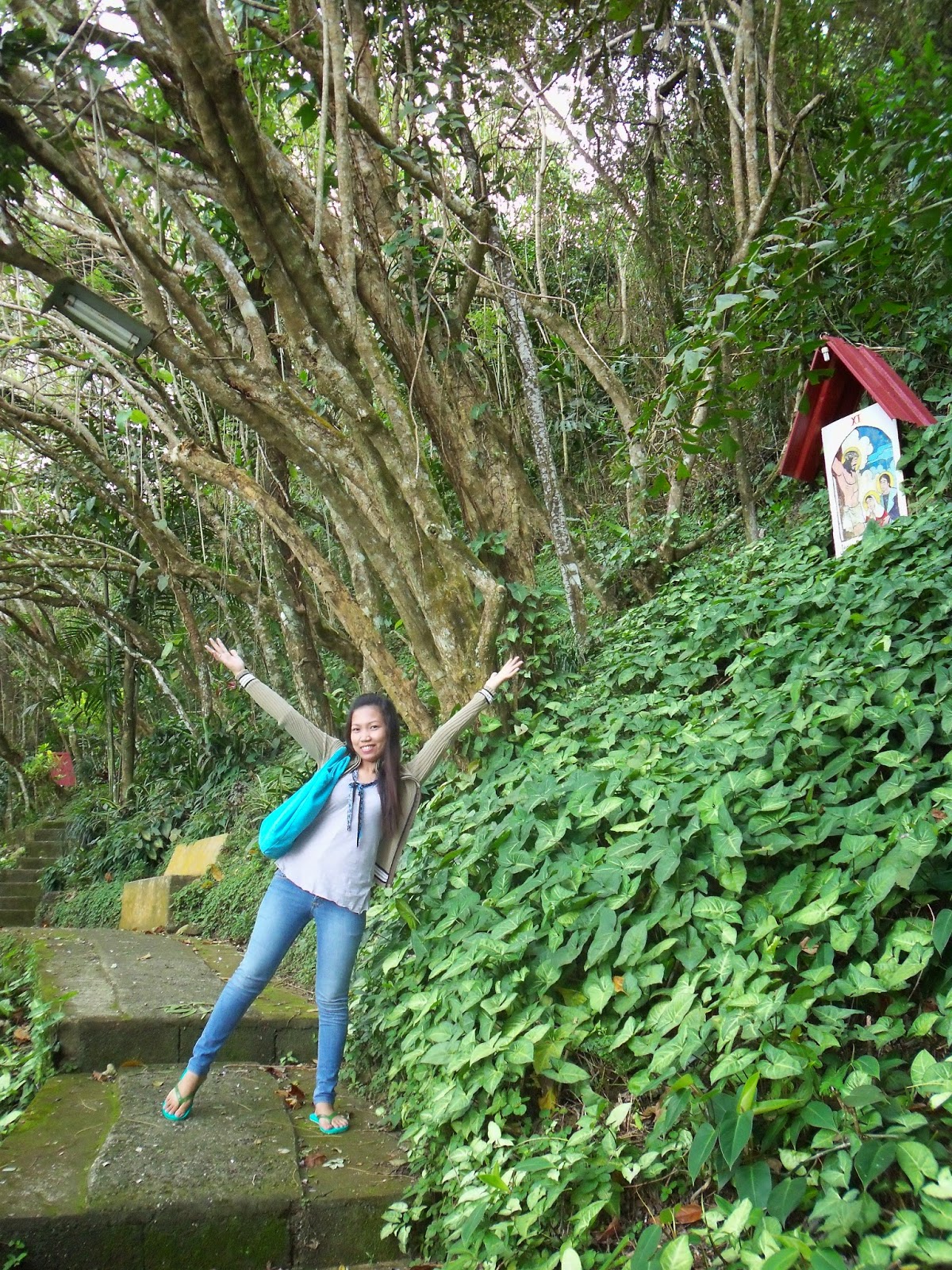 gene's adventure blog site: @ mountain View Nature's Park busay cebu