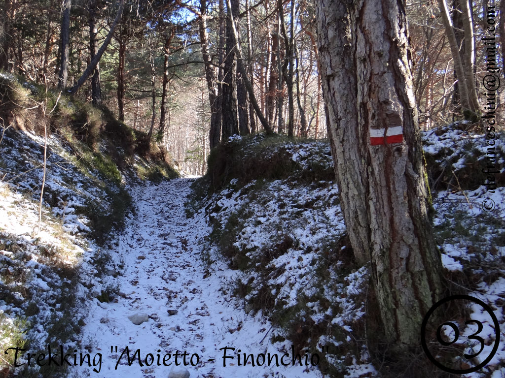 Trekking in Trentino: Moietto > Rifugio "Fratelli Filzi" (Finonchio)
