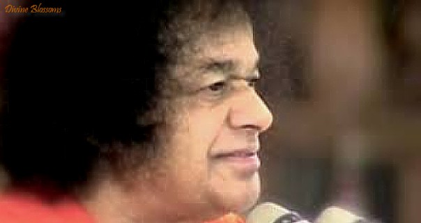 Divine Blossoms: Baba's Storytime - The Ever-Present Presence