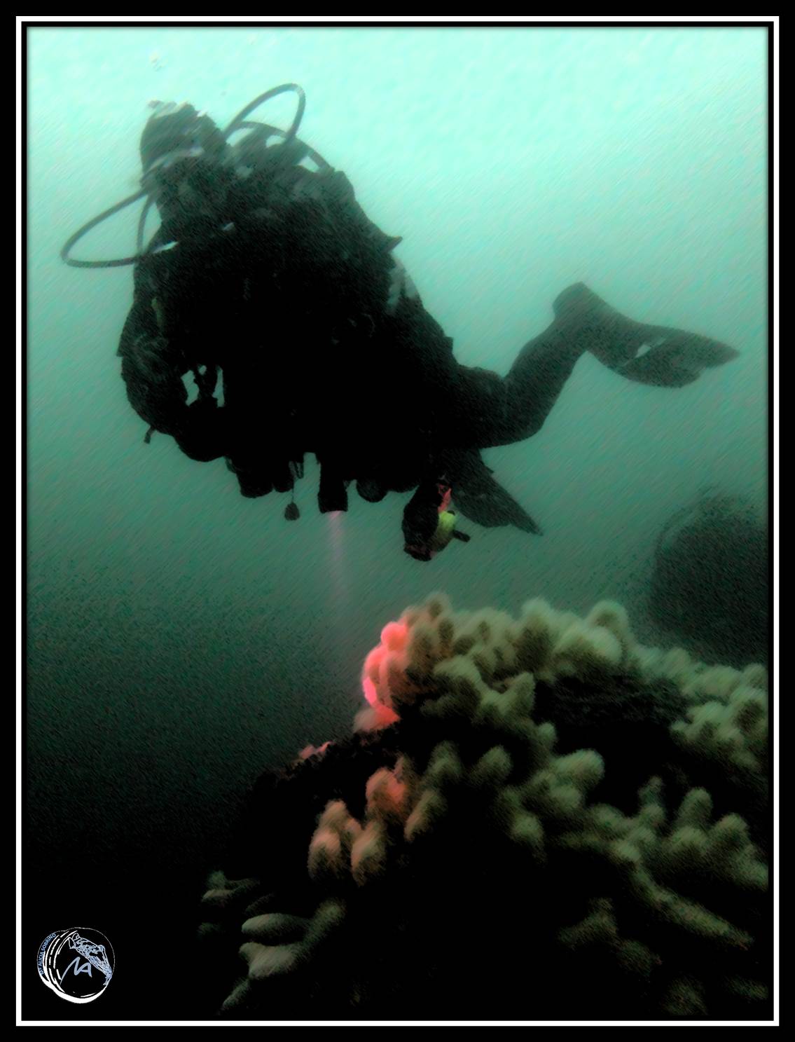 La mar a través de un objetivo: Primrose Wreck