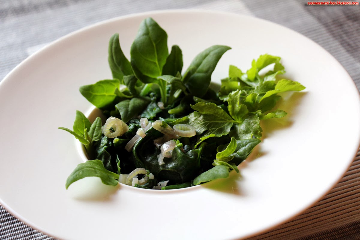 Sauvagement-Bon: Tétragone