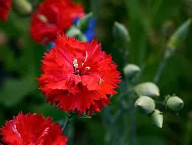 Awakenings: Ohio: Gatekeeper of Hidden Treasures