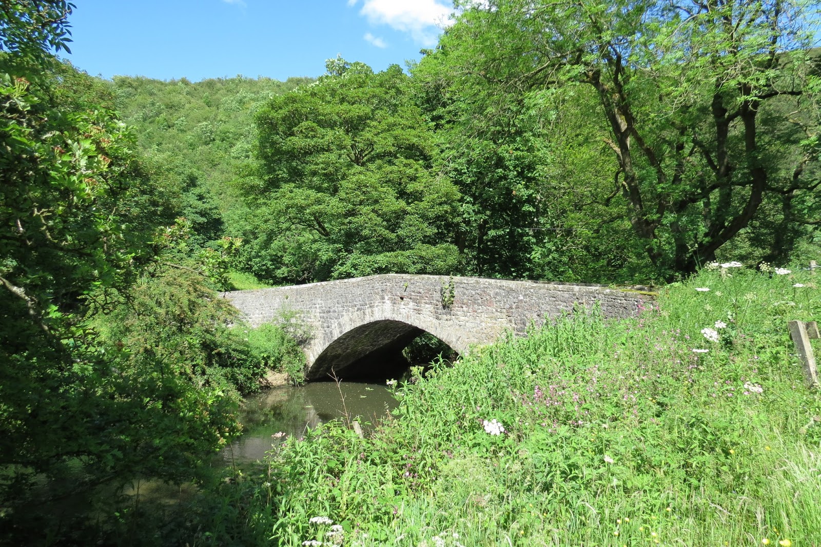Thor's Cave and Ecton Hill ~ Occasionally Lost