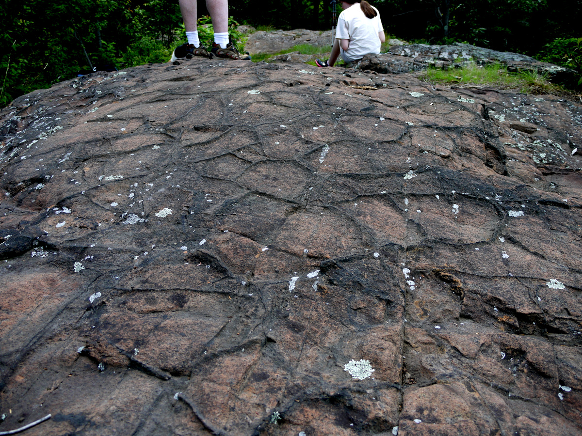 Along the NET-Cohos: Ragged Mountain, Southington