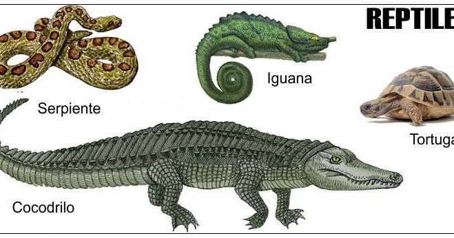CARAZONY 2ºA: ACTIVIDADES INTERACTIVAS