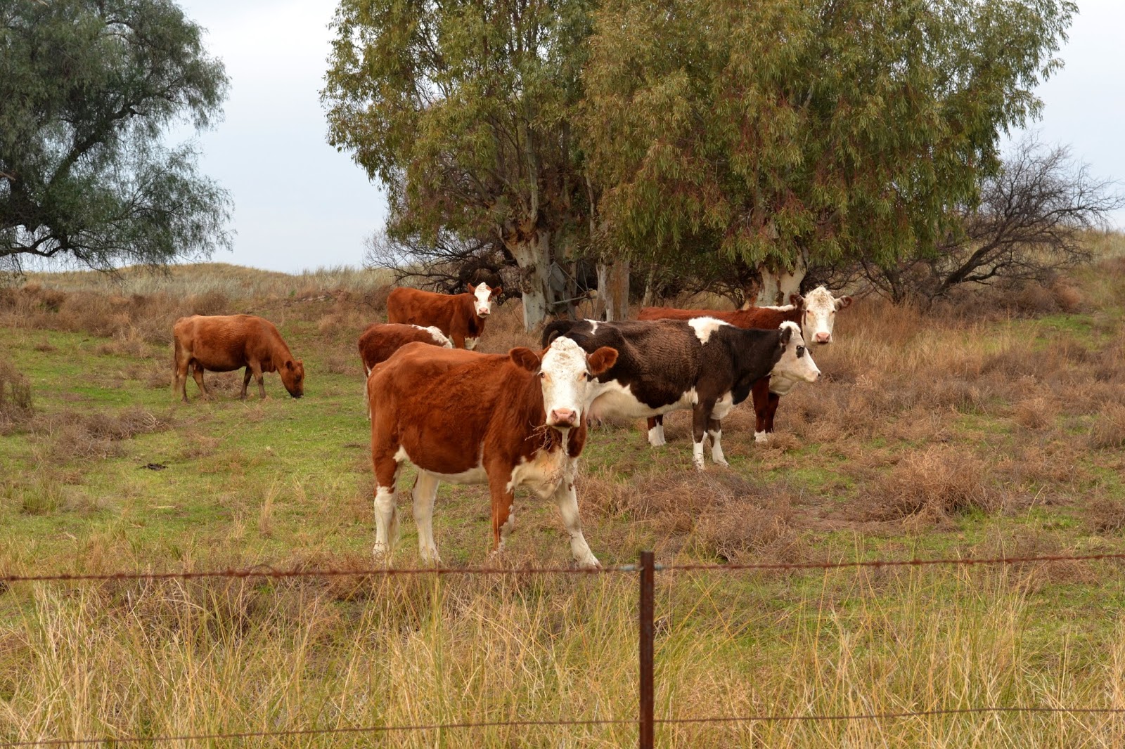 Claudio Tomassini: Médanos - Claudio Tomassini Fotografía