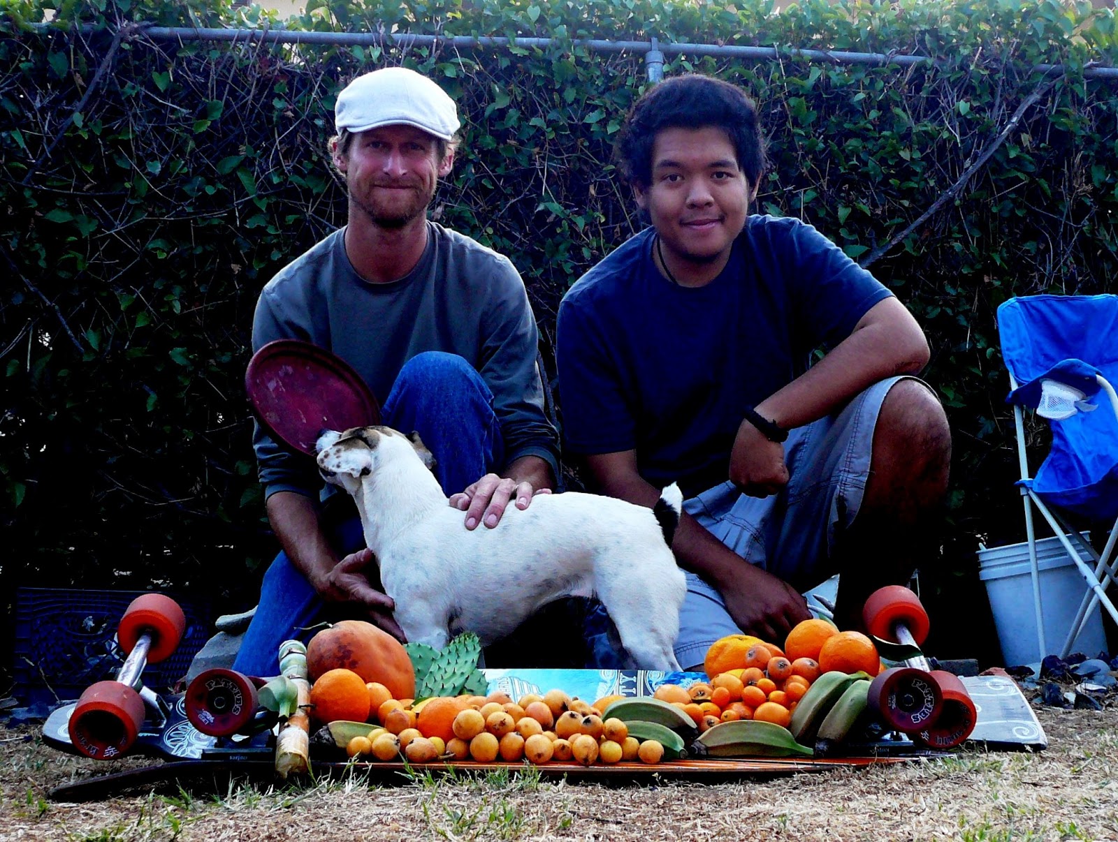 Countryman: Foraging California's Wild Side: Urban Foraging: The Fruits ...