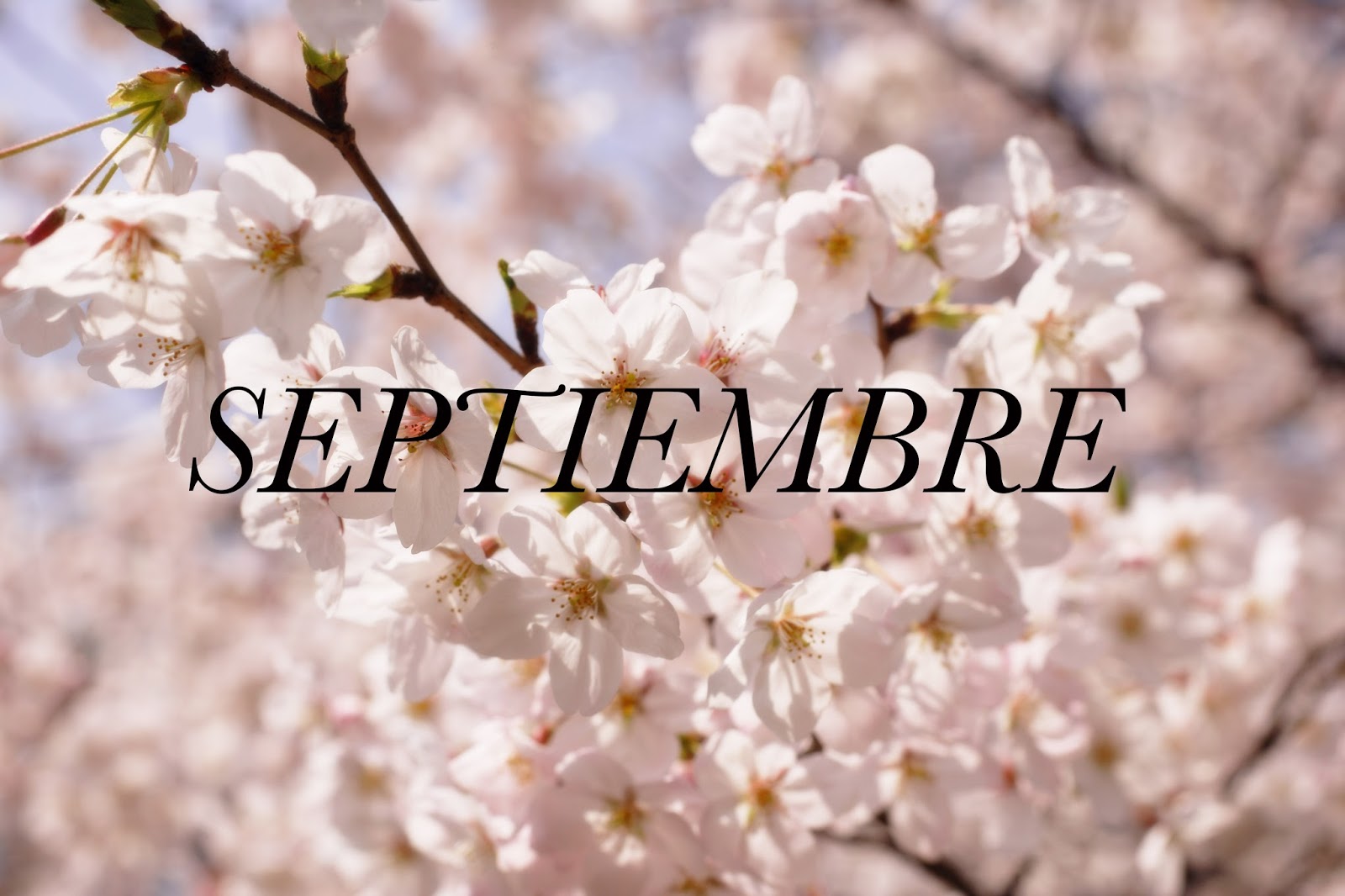 Feliz Septiembre ~ cotibluemos