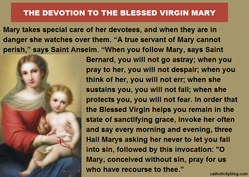 CATHOLICITYBLOG: The Devotion to the Blessed Virgin Mary