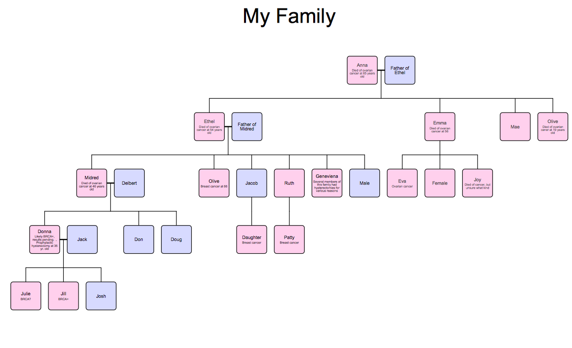 Blessings and BRCA: Family History