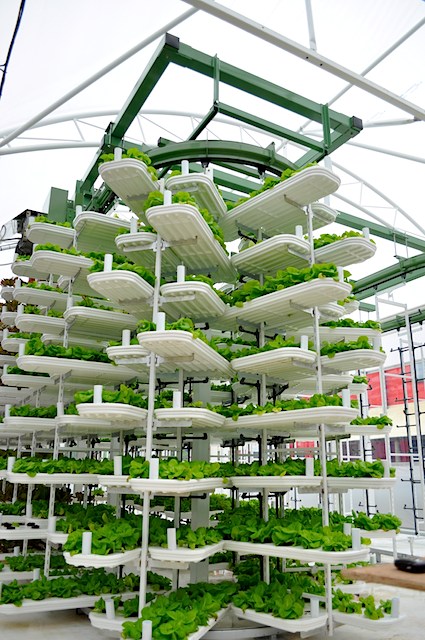 ..:recycled minds:..: Vertical Farming and the Future of Food