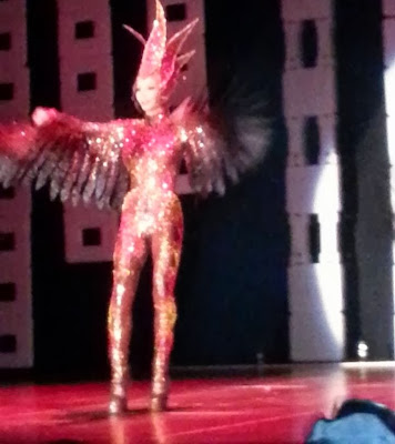 Laviny Albuquerque, é eleita Miss Transex Universo - MUNDO T