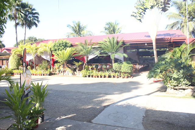 Pinay Adventurer: Puerto Princesa: Staycation: Balay Inato Pension