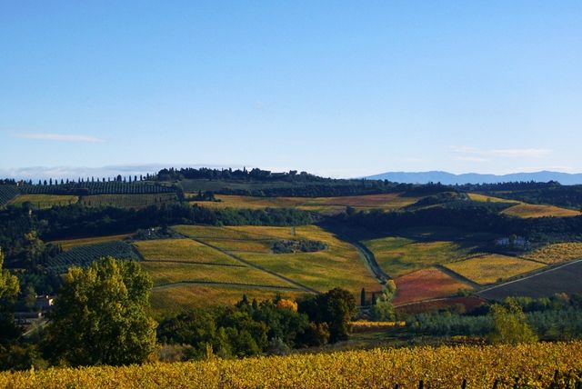 5 lugares para disfrutar del otoño y sus colores