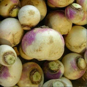 Le jardin de Pestoune: Le navet