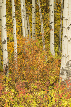 Nick Fucci Outdoor & Nature Photography