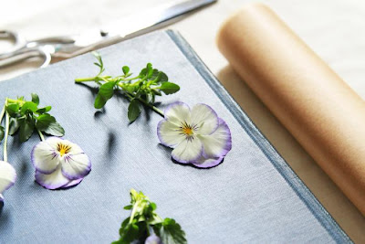 Kell Belle Studio: How to Make Pressed Violets