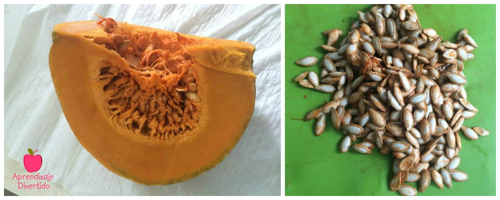 Calabaza y semillas