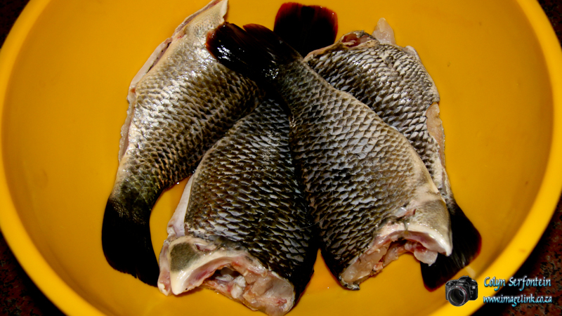 Kurper - lekker vars vis |Colyn maak Man Kos