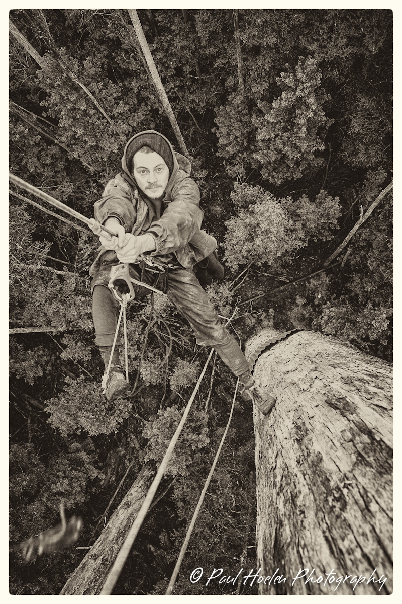 The Light Weaver Chronicles: THE AMAZING MIRANDA GIBSON IN THE ...