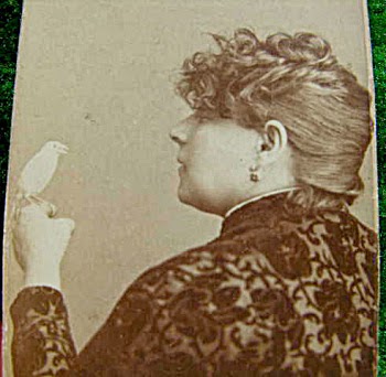 The Aviary: The Victorian Aviary