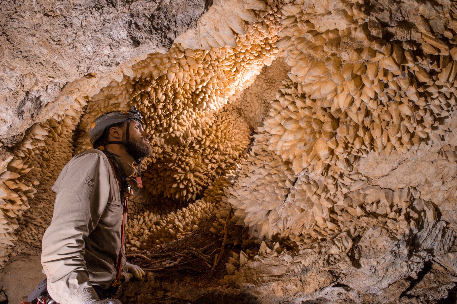 DEATH ANGEL CAVE - ADAM HAYDOCK