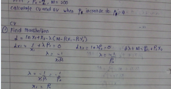 Myra R: How to Calculate Compensating Variation (CV) and Equivalent ...