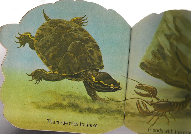 The Secret World of Hazel Catkins: The Turtle Book A Golden Shape Book