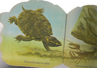 The Secret World of Hazel Catkins: The Turtle Book A Golden Shape Book